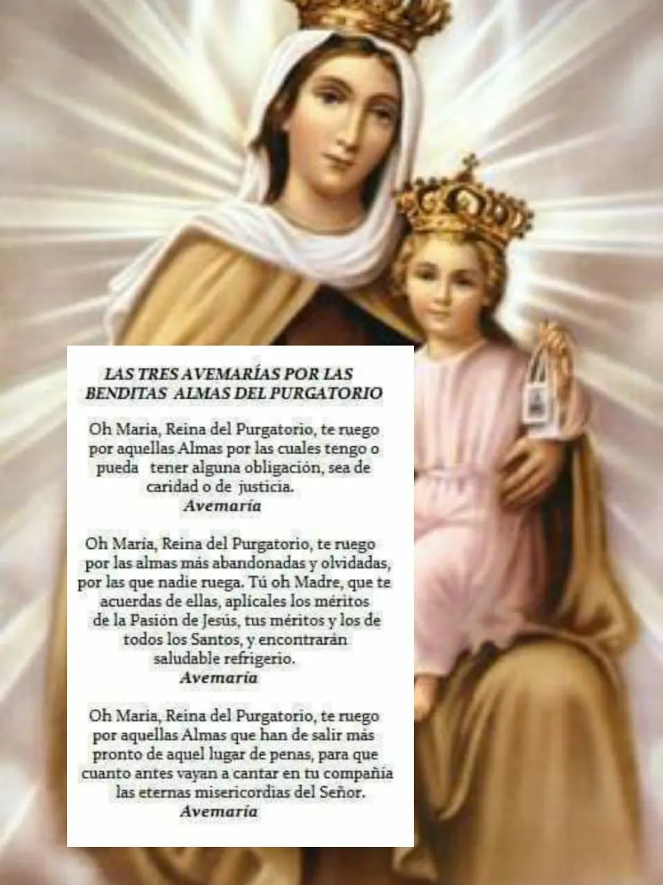 Oración Tres Aves Marías: Devoción A La Virgen | Loros Y Guacamayos