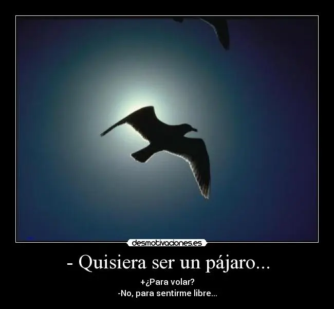 El Significado Del Pájaro En Psicología: Libertad, Transformación Y ...