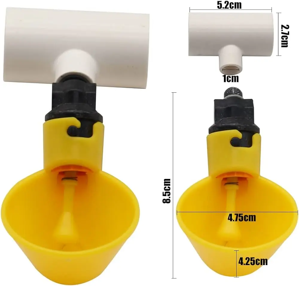 Bebederos Automáticos Para Aves: Solución Eficiente Y Práctica | Loros ...
